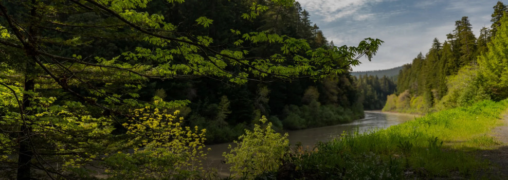 Biodiversity | Sermsang Power Corporation