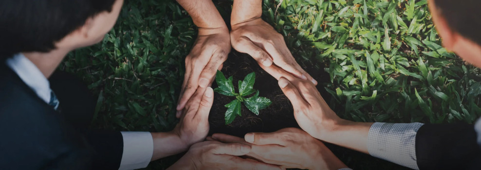 Sustainability Governance Structure | Sermsang Power Corporation